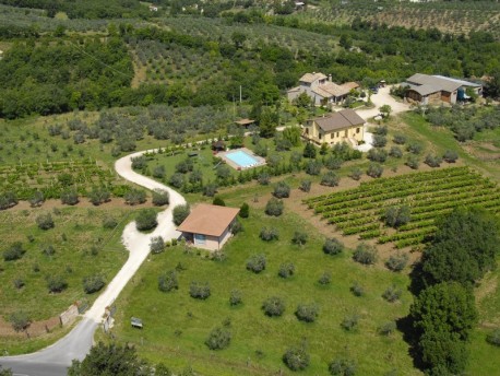 Fattoria Del Quondam - EquoTube